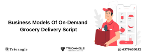 Business Models Of On-Demand Grocery Delivery Script - Trioangle Blog