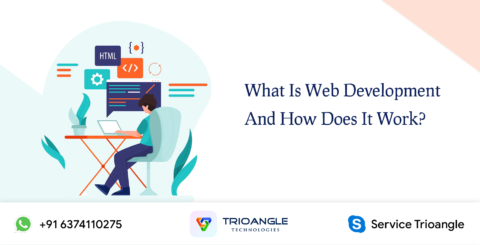What Is Web Development And How Does It Work? - Trioangle